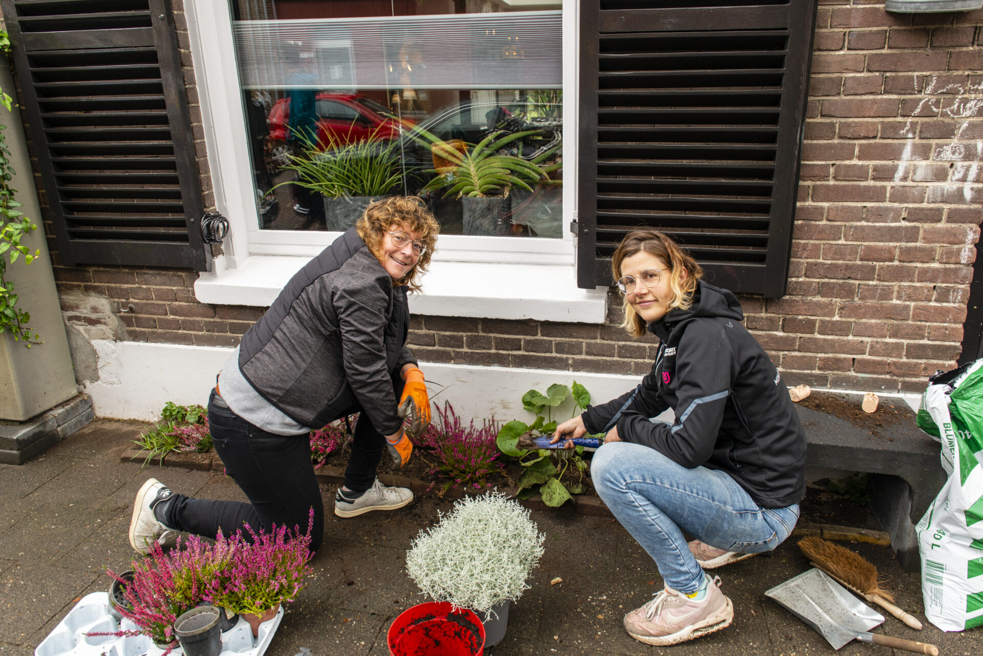 Overijssel stelt 50.000 euro beschikbaar voor klimplanten op openbare ...
