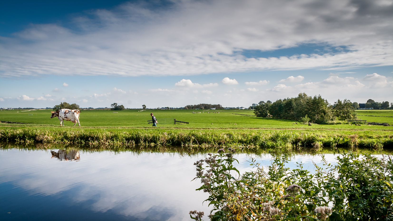 Natuur- en milieuorganisaties gematigd positief over rapport Remkes ...