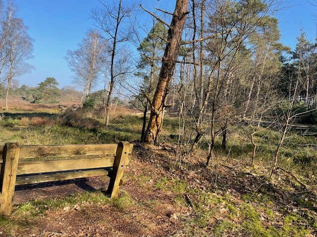 Mooie fietstocht door de Sallandse Heuvelrug en natuurgebied de ...