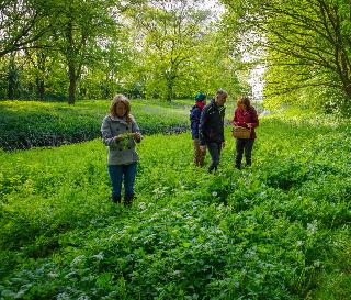 Zomerweek op camping Het Wilde Weg - Natuur en Milieu Overijssel